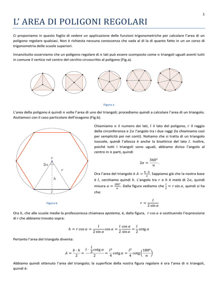 Area Poligoni Regolari: Trigonometria e Calcolo